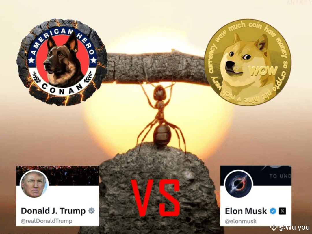$DOGE $BTC $BNB #特朗普概念币 Trump Conan Dog vs Musk DOGE Dog - W | Wu you ...