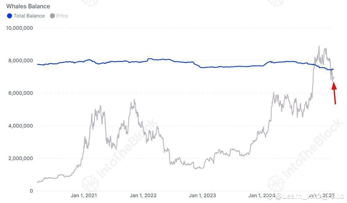 🪙Balances of large BTC holders The balance sheets of large | Learn_With ...