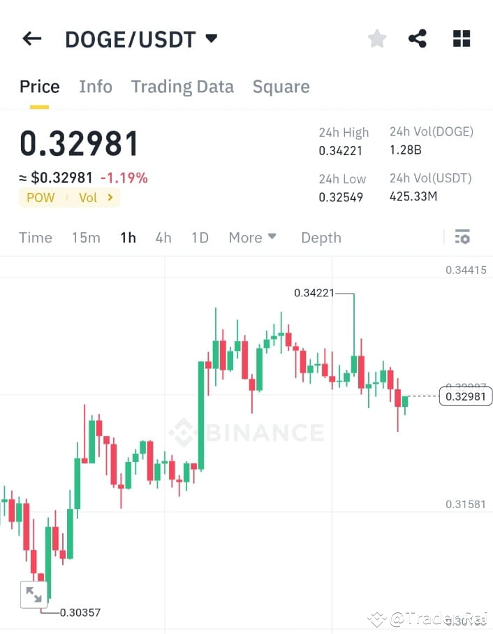$DOGE /USDT Update 🐕‍🦺 Dogecoin is trading at $0.32981 ( | Trader Rai ...