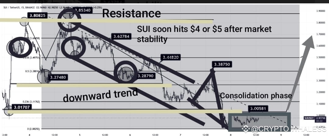 BOOOOOOMMM 💥💥 HOLDING ON TIGHT UNTIL IT REACHES $5 💰🚀 $S | CRYPTO ...