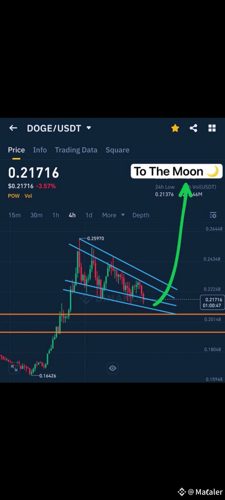 Dogecoin Bull Flag Exit Nearing! ⏳🚀 DOGE is showing strong | Mataler on ...