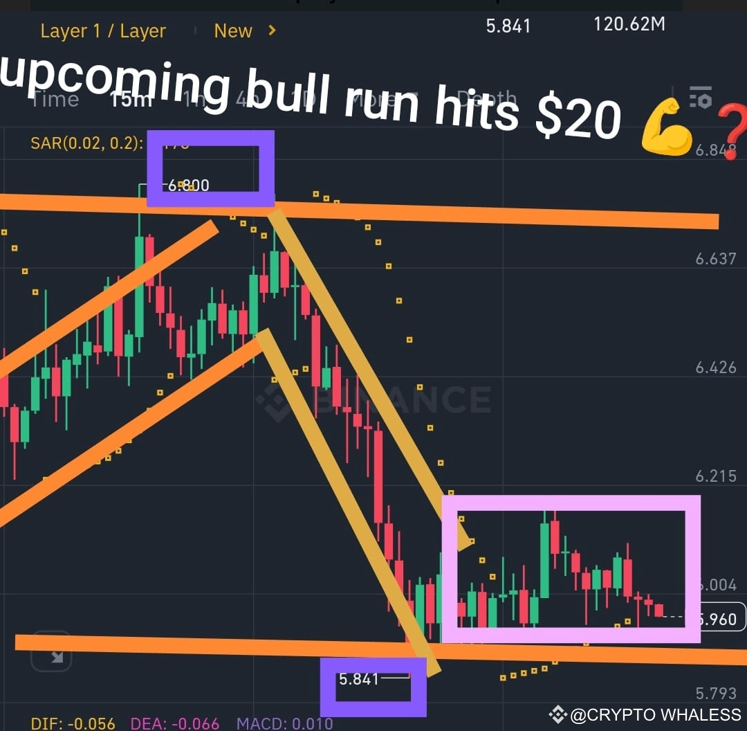 GETTING READY FOR A BULL RUN 💥💰 Is $20 a realistic targe | CRYPTO WHALESS on Binance Square