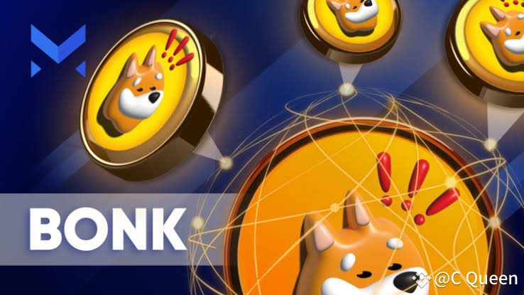🚀🔥 The Great $BONK Burn: Could This Be the Launchpad to Unprecedented Highs? 🔥🚀 | C Queen on ...