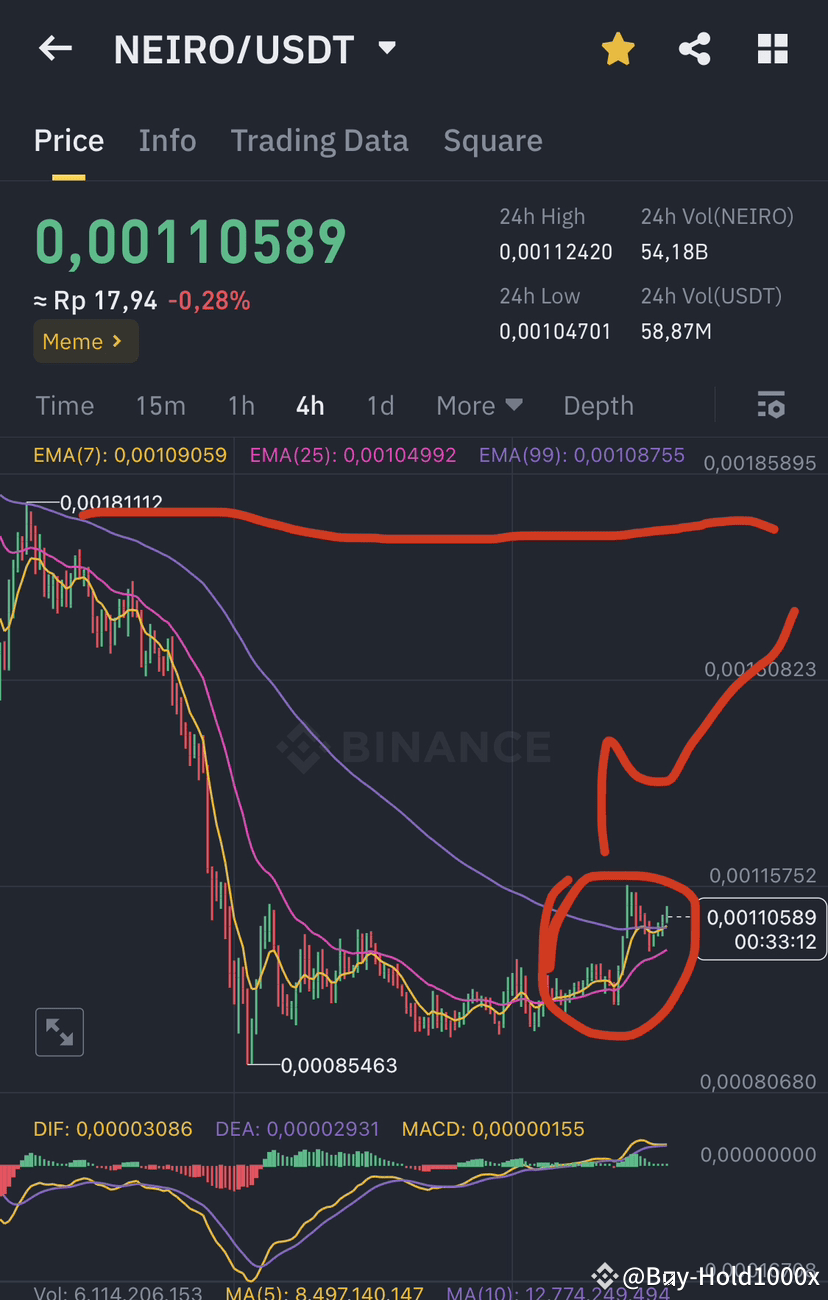 $NEIRO ready to fly anytime buddy | Buy-Hold1000x on Binance Square