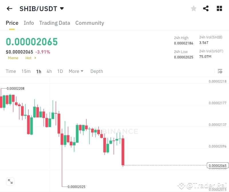 $SHIB /USDT - Market Update Current Price: $0.00002065 (-3 | Trader Rai on Binance Square