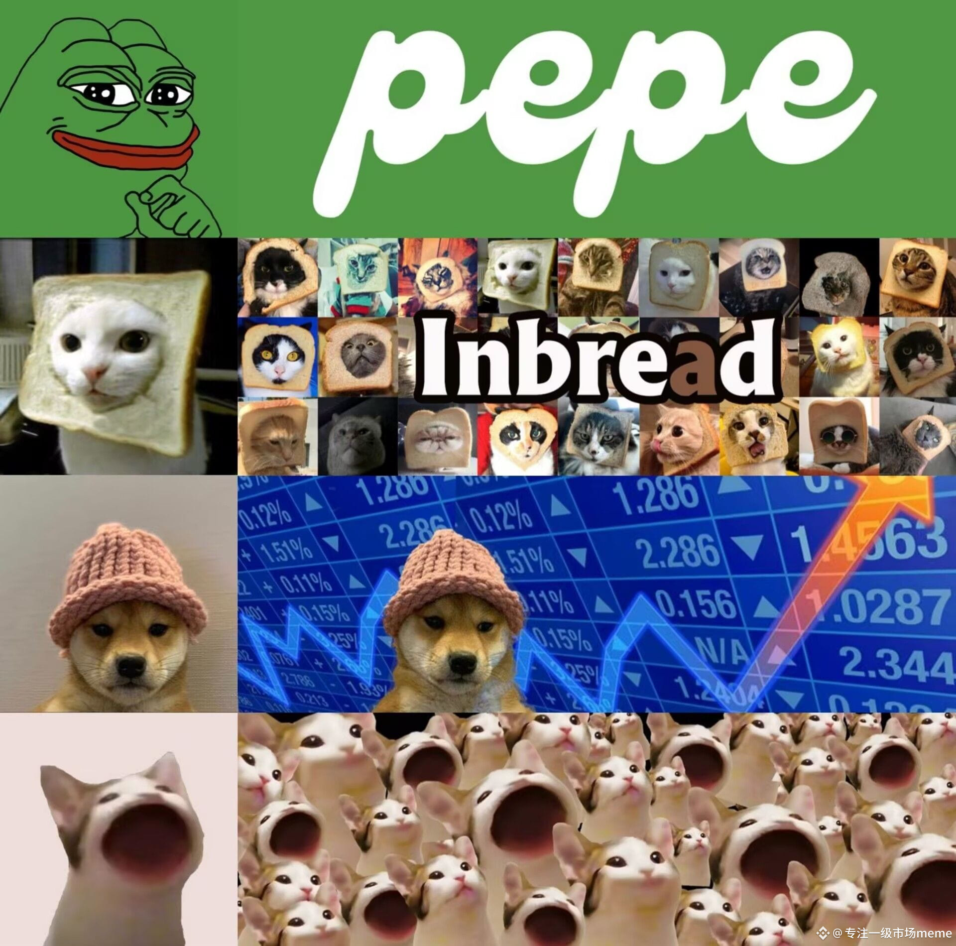 #币安HODLer空投HAEDAL #币安HODLer空投HAEDAL #特朗普晚宴 $XRP $SOL has | 专注一级市场meme ...