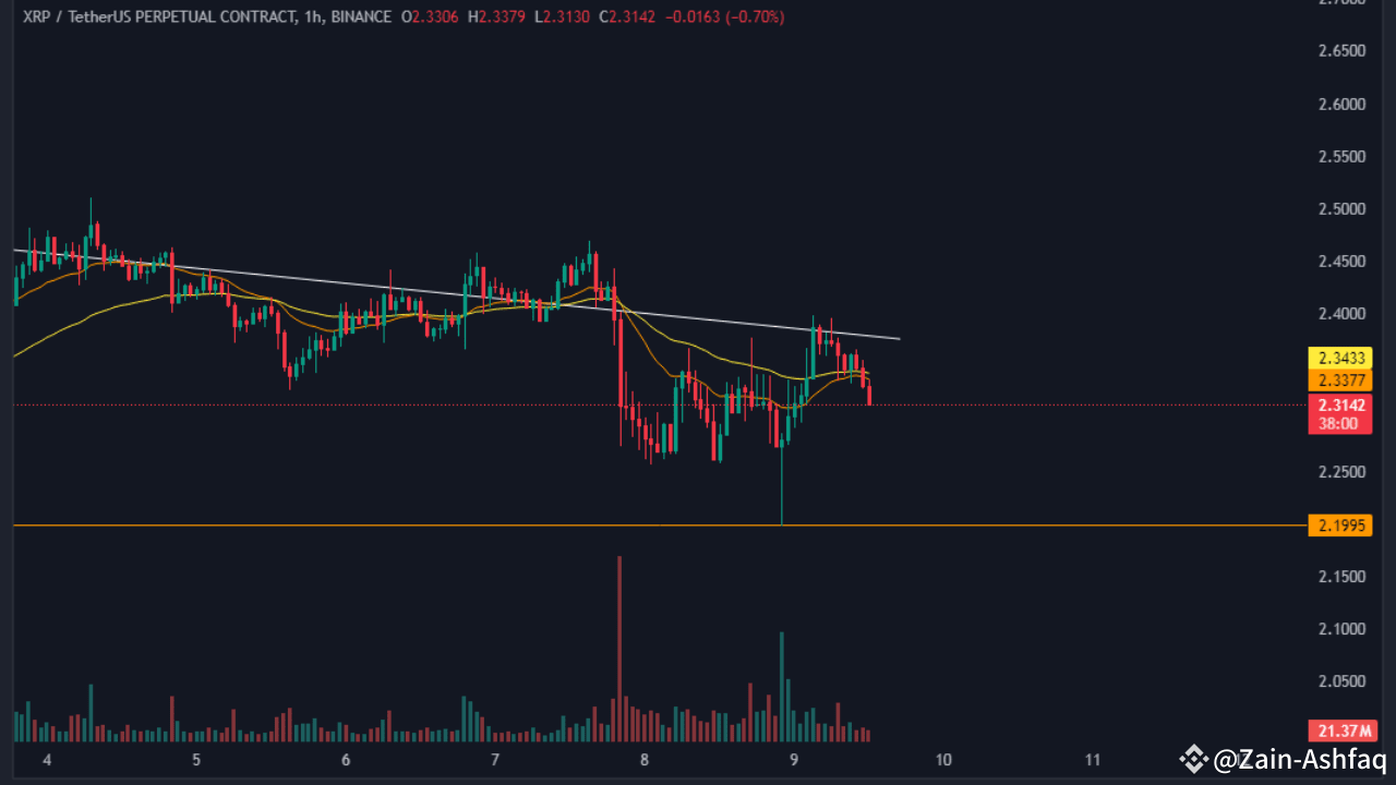 Ripple Whale With $5 Million XRP Portfolio Sells Half To Buy PEPE, Predicts 45,000% Rally | Zain ...
