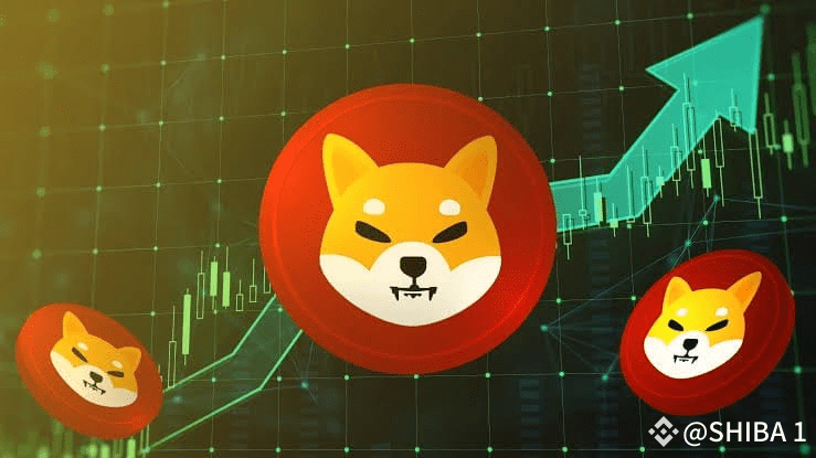 It’s time to pay attention! Big things are coming into the # | SHIBA 1 ...