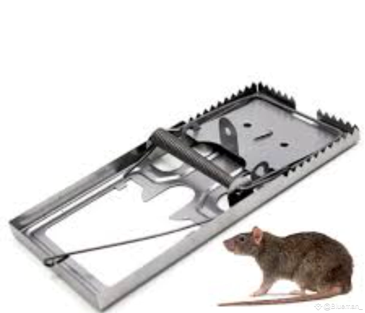 $XRP scam project | Blueman_ on Binance Square