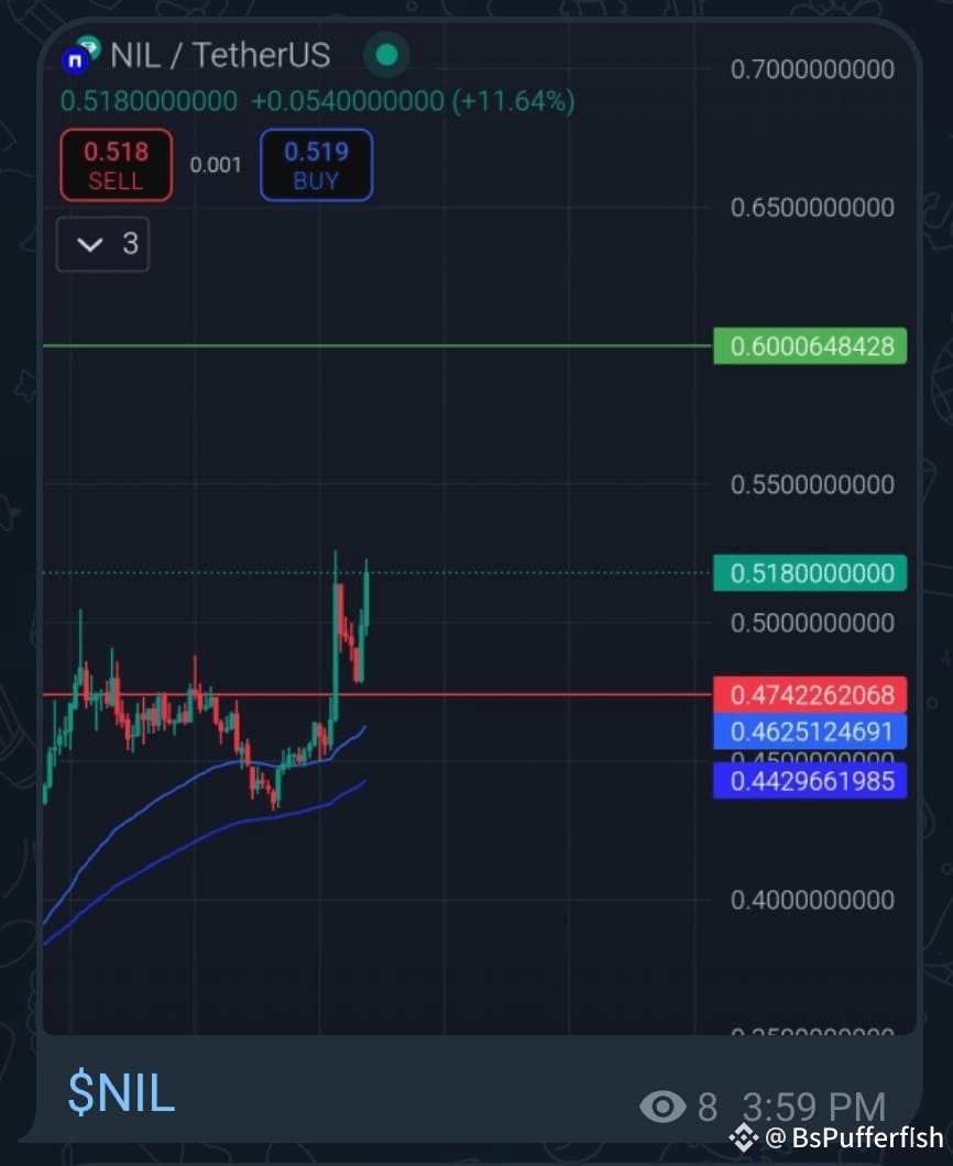 $NIL dropped this call 2 hours ago Already in #BinanceTopG ...