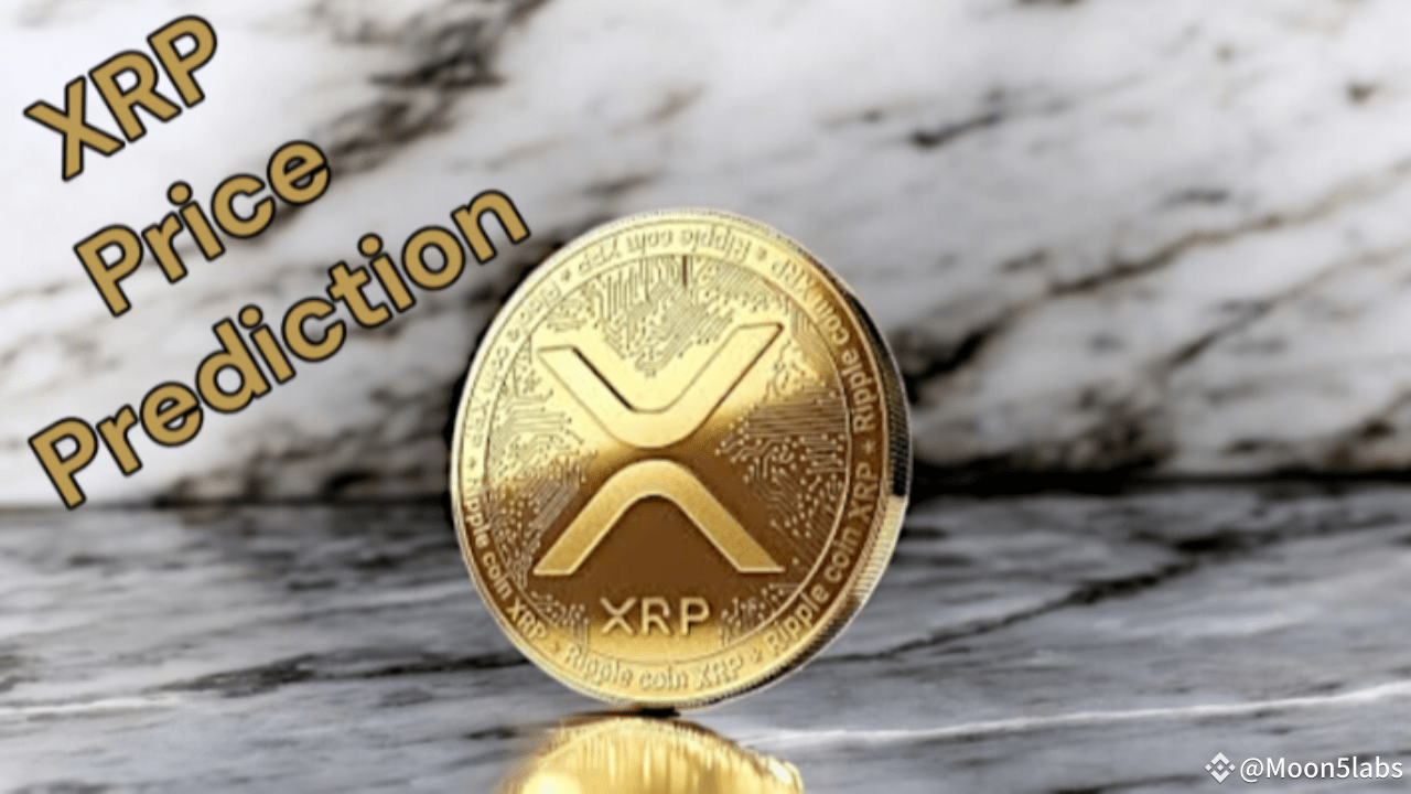 XRP Rises by 10%, Stealing Bitcoin’s Spotlight | Moon5labs on Binance ...
