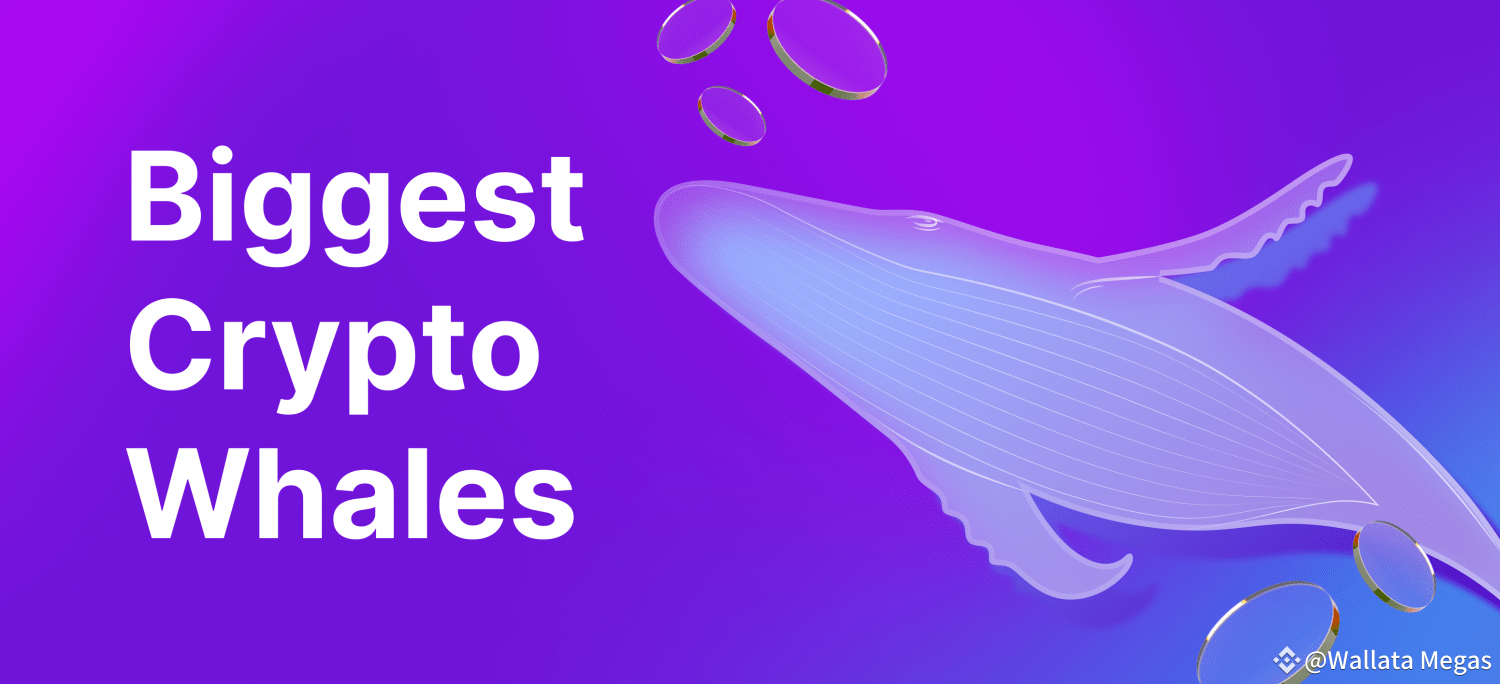 WHAT ARE CRYPTO WALES Crypto "whales" are individuals or en | Wallata ...