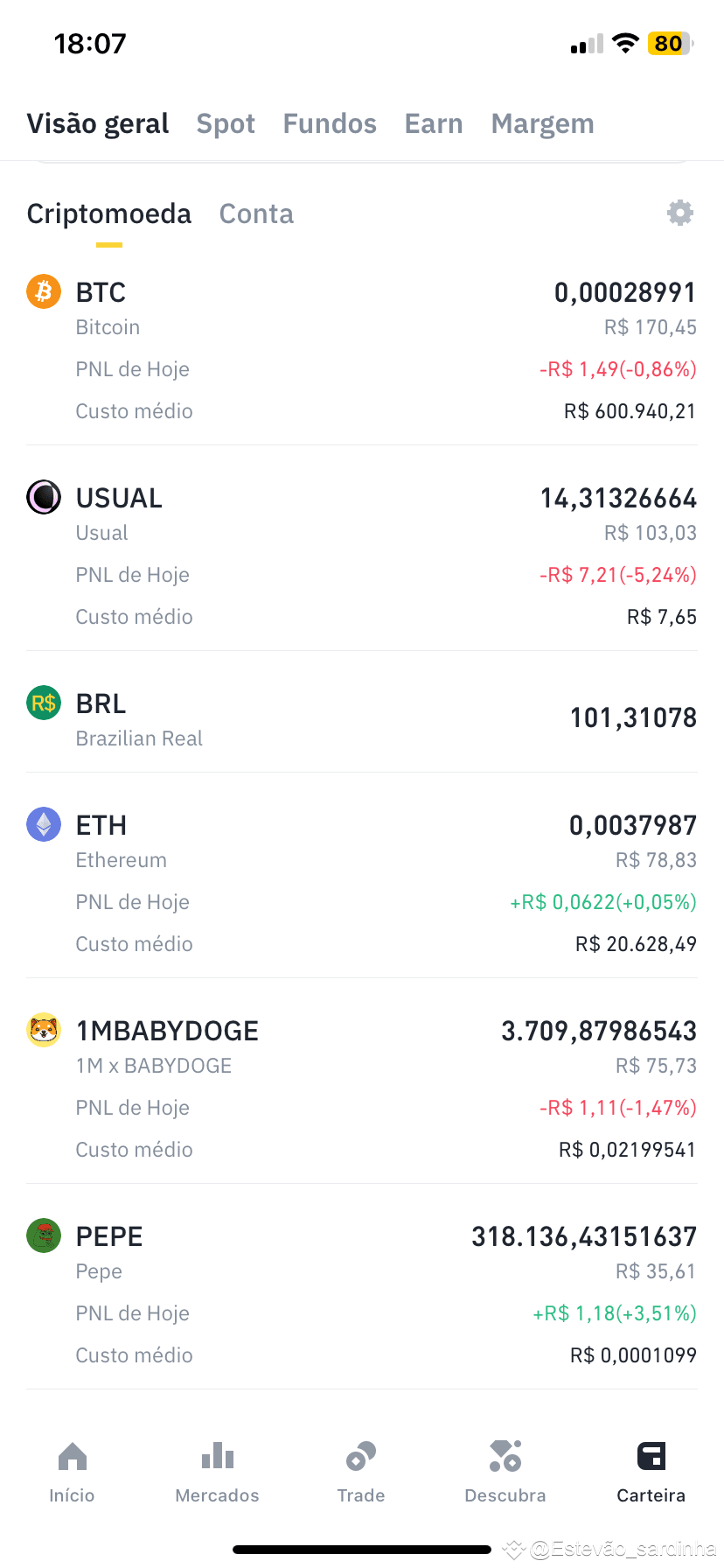 This is my updated portfolio, I started 2 weeks ago, I have | Estevão_sardinha on Binance Square