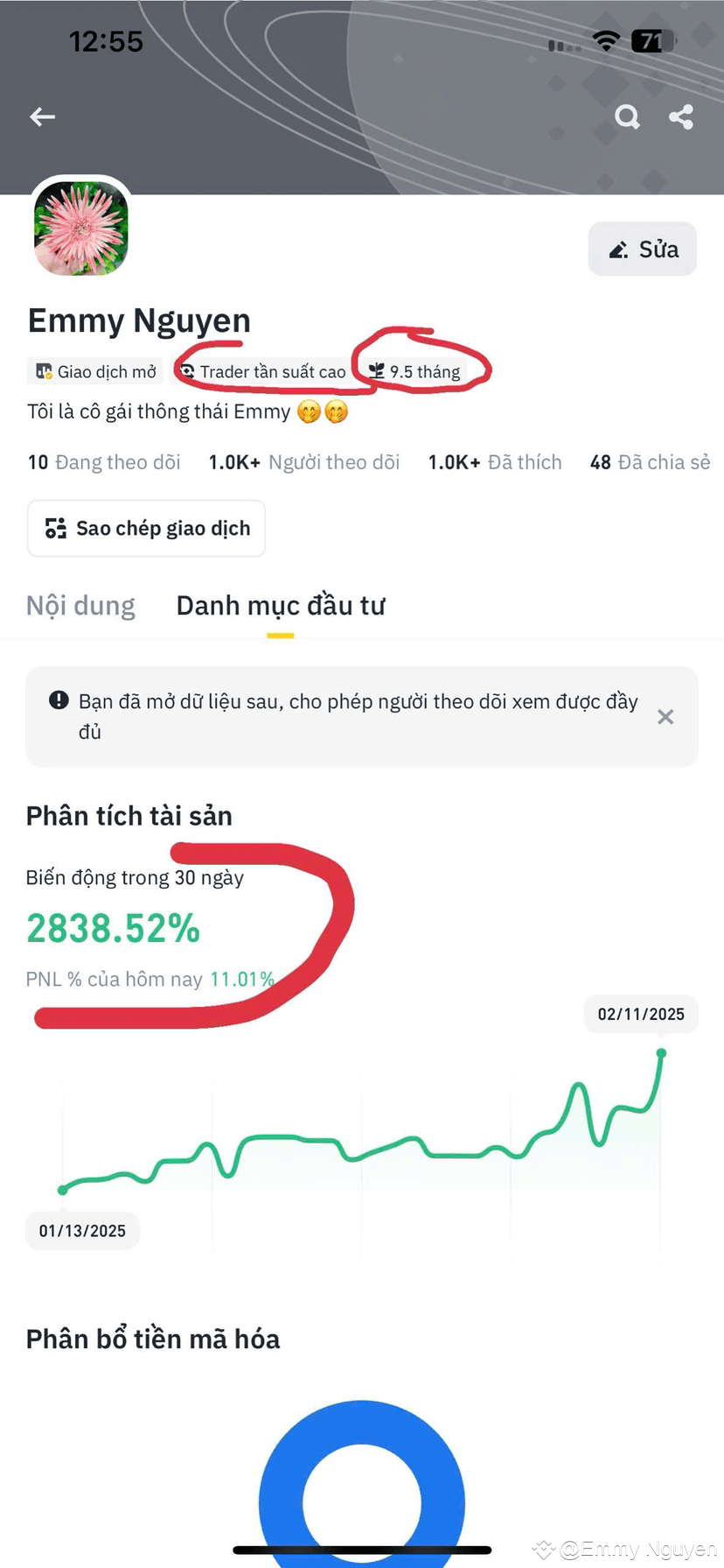 Just got upgraded to Trader badge on Binance, the wise girl | Emmy ...