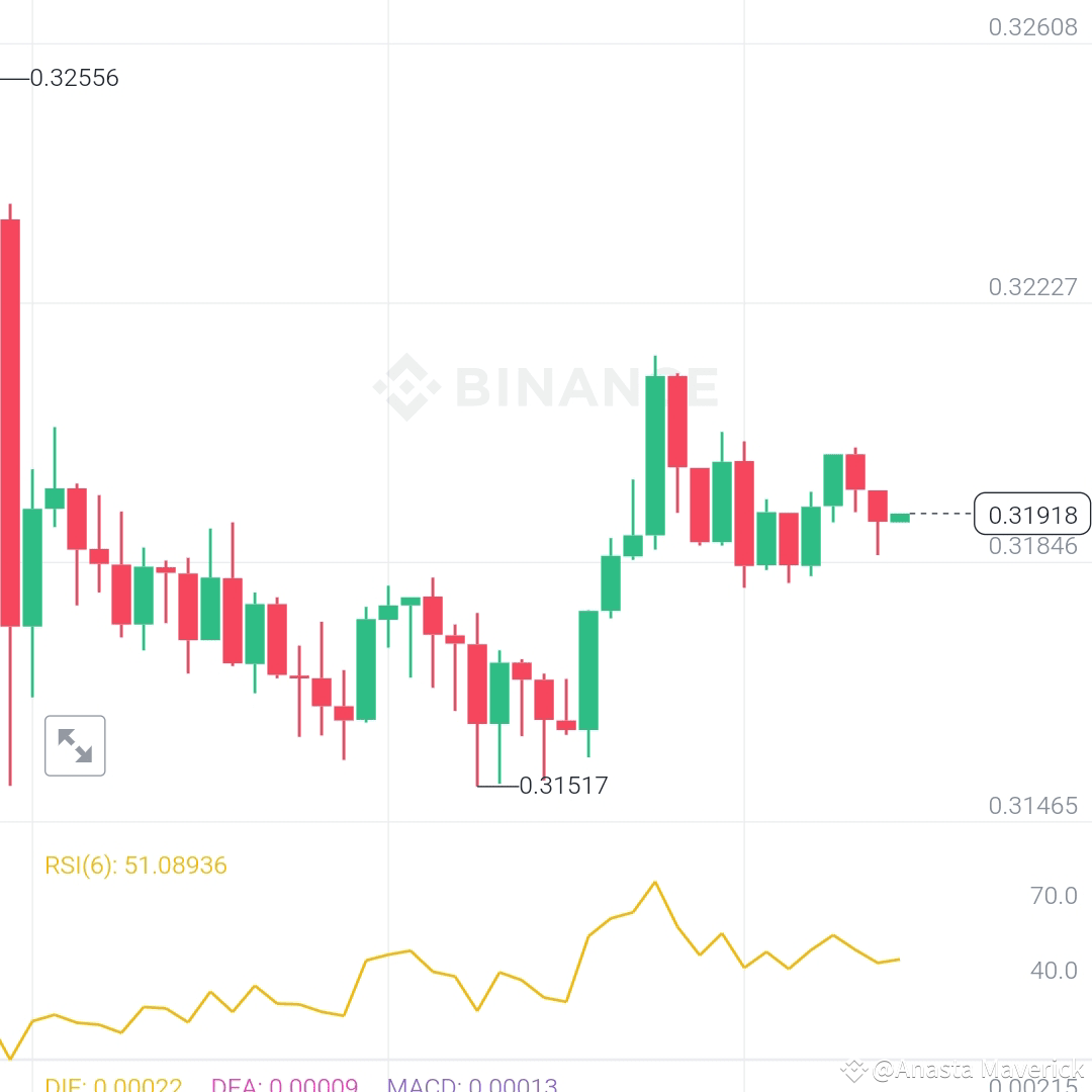 $DOGE /USDT on the Verge of a Breakout – Act Now! $DOGE /U | Anasta Maverick on Binance Square