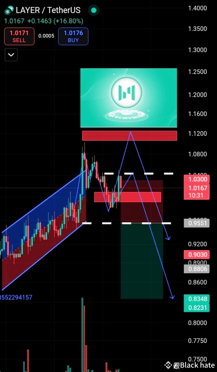 $LAYER Layer coin is currently getting trapped. Please don’ | Black ...
