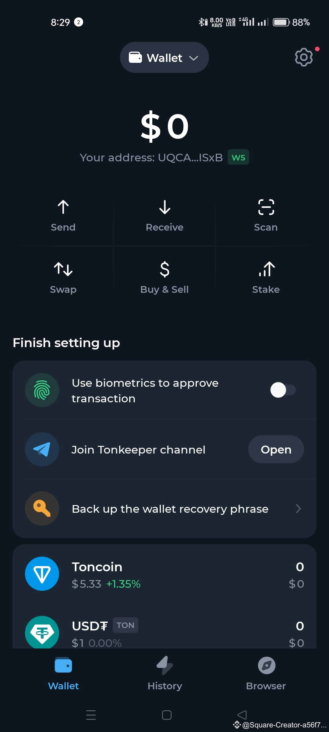 THIS is my ton wallet no balance it only shows inside the bl | Square-Creator ...