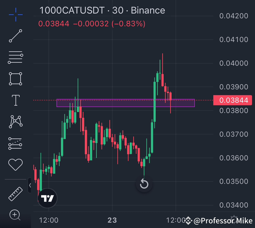 Bull Run Confirmed on $1000CAT USDT!🔥💯 🚀 Breakout Alert: | Professor Mike on Binance Square