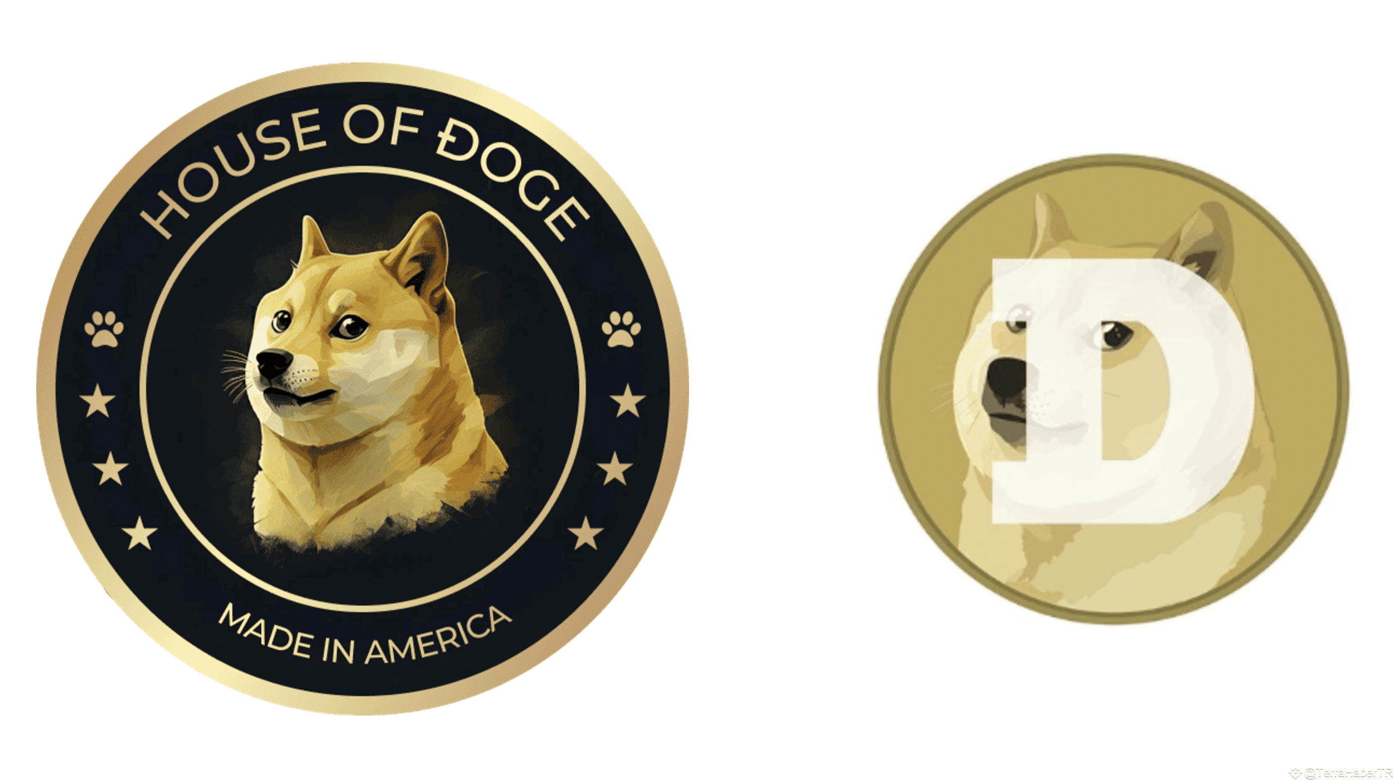 Dogecoin Foundation launches 'Official Dogecoin Reserve' und ...