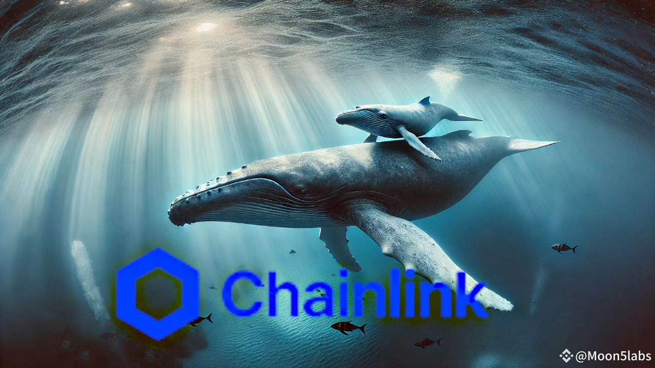 Chainlink Whales Accumulate $165 Million in LINK, Signaling Potential Bullish Trend | Moon5labs ...