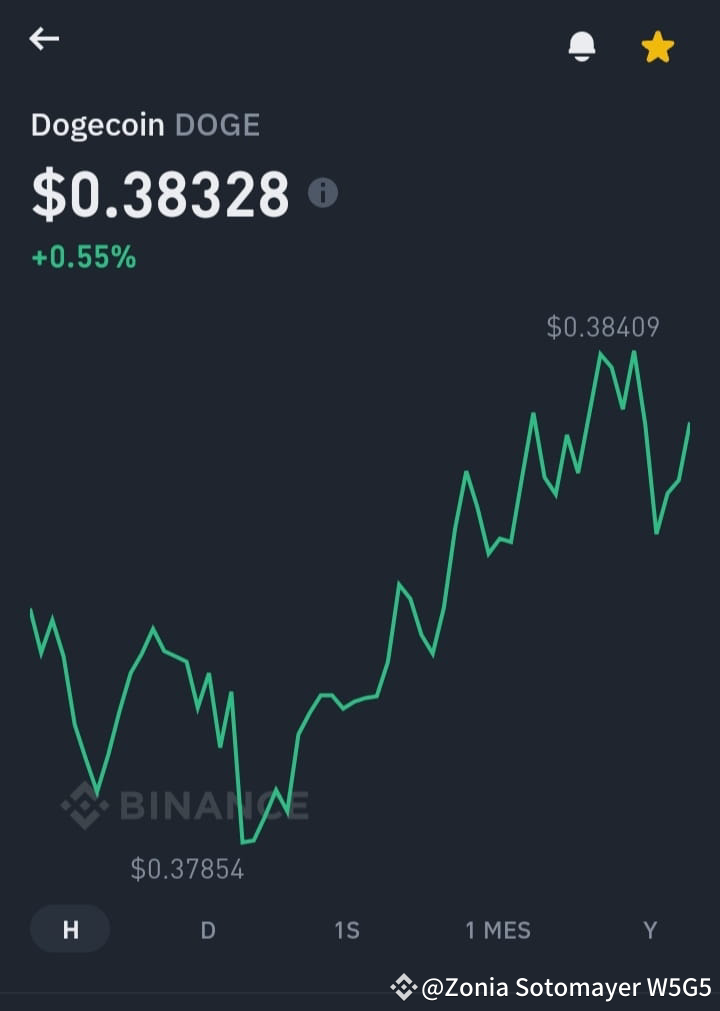 Dogecoin (DOGE) Surges in Million-Dollar Transactions: What' | Zonia Sotomayer W5G5 on Binance ...