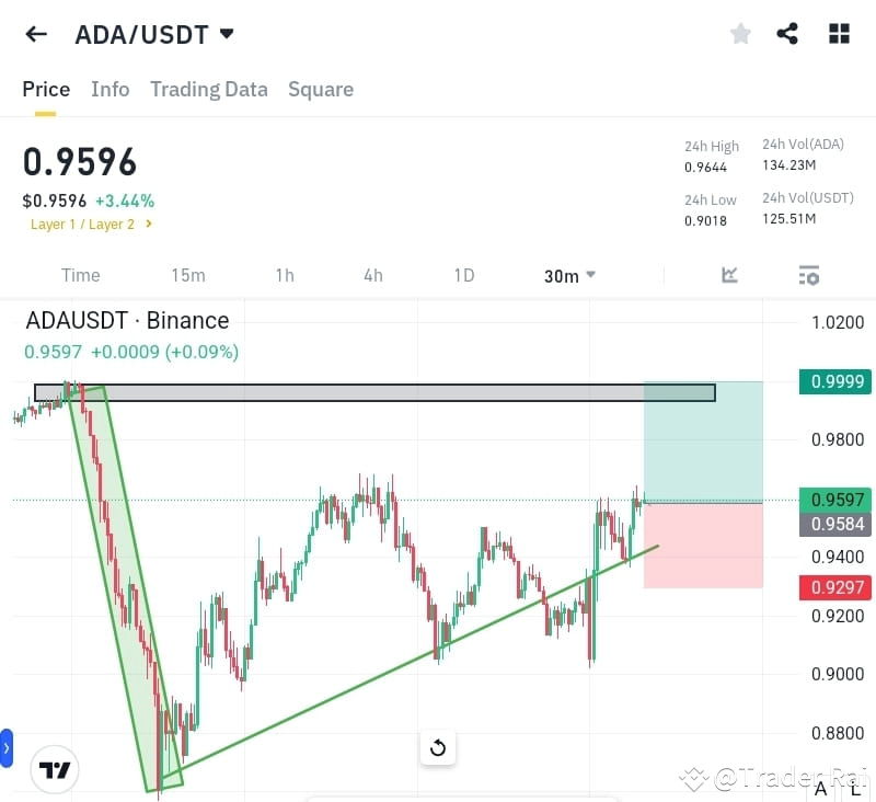$ADA /USDT Breakout Setup 🚀 Entry: $0.9580 - $0.9600 Ta | Trader Rai on Binance Square