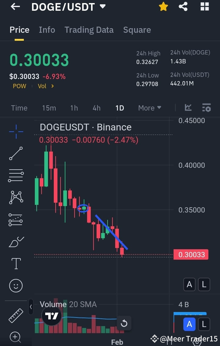 I buy dodge coin in this candle😭/ koi advice de ka hold kar | Meer ...