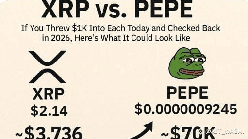 $1,000 into XRP & $1,000 into PEPE — Walk Away Until 2026. Here’s What Might Happen… | RJT_WAGMI ...