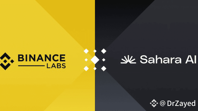 Sahara AI (SAHARA) has emerged as a standout project within the AI x ...