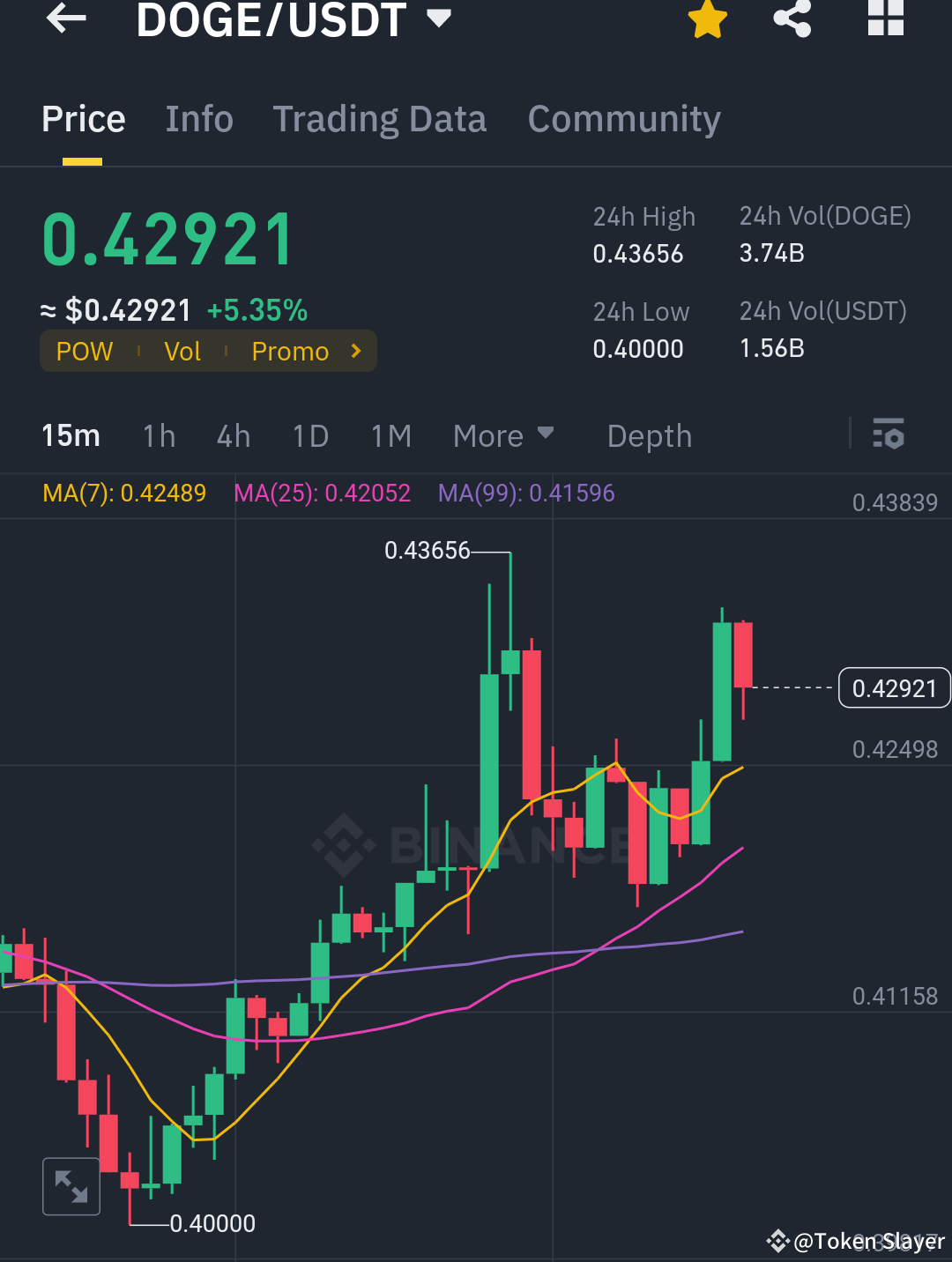 🚨 $DOGE ALERT: Testing Resistance – Get Ready! 🚨 DOGE is | Token Slayer ...