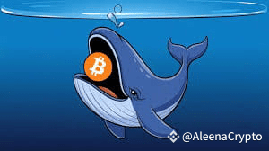 🚨🚨Whale buy 65,000 bitcoin🚨🚨 Since Binance has the most | AleenaCrypto on Binance Square