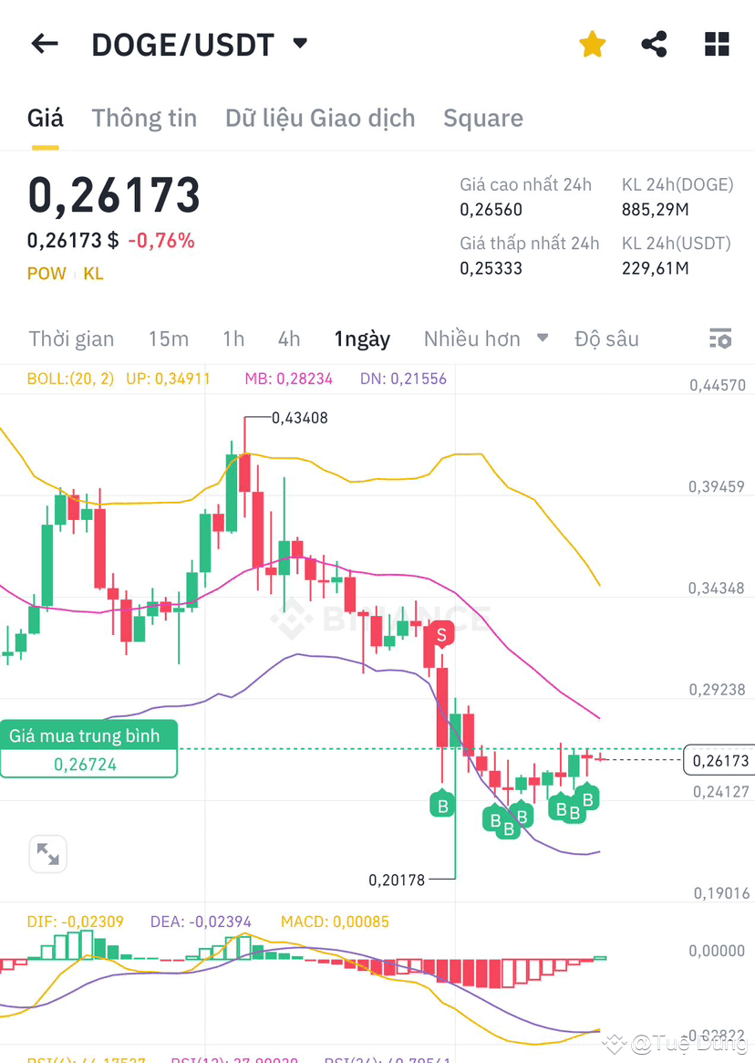 The meme king is only Doge I haven't played with memes | Tuệ Dũng on ...