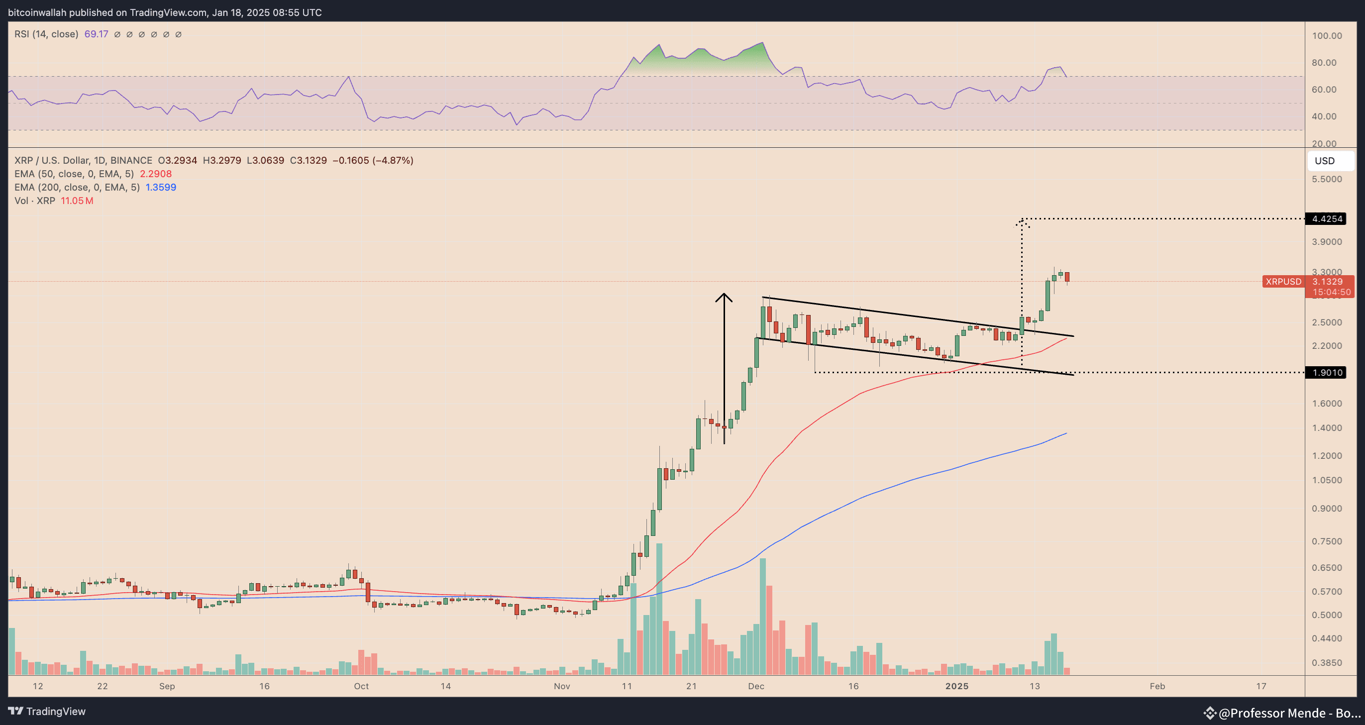 🚨 XRP’s WARNING - 25% correction incoming??! XRP soared a | Professor ...