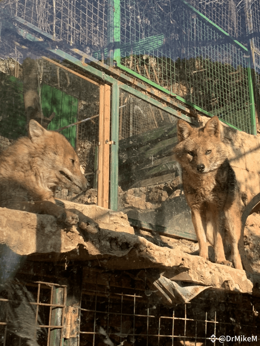 HBAR UPdate🌿 Hedera Hashgraph (HBAR) is showing strong sig | DrMikeM on ...