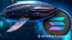 Whales Make Strategic Moves with Solana: What’s Their Long-Term Strategy? 🚨🚨 | Hadiqa Crypto ...