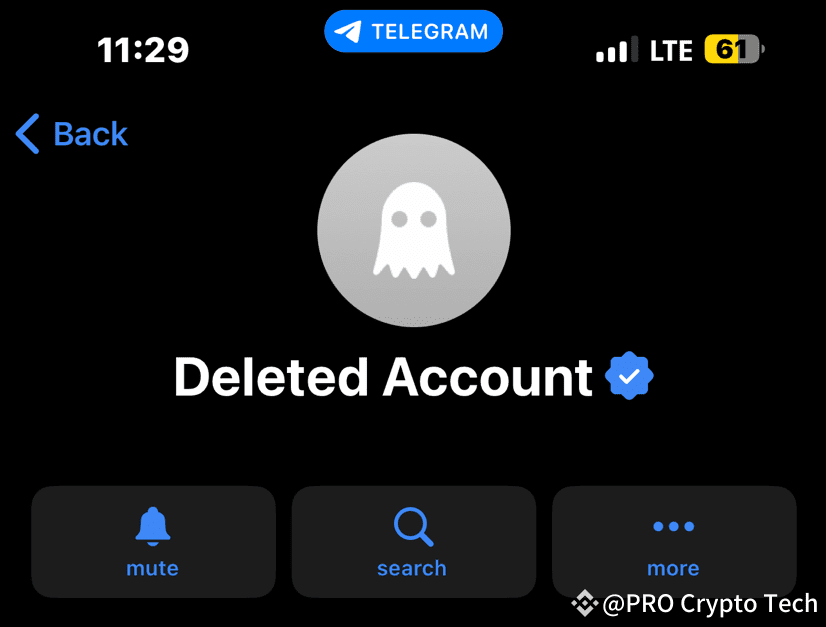 #PAWS Airdrop Deleted Telegram Bot 🥲🥲 What’s Next???? If | PRO Crypto ...