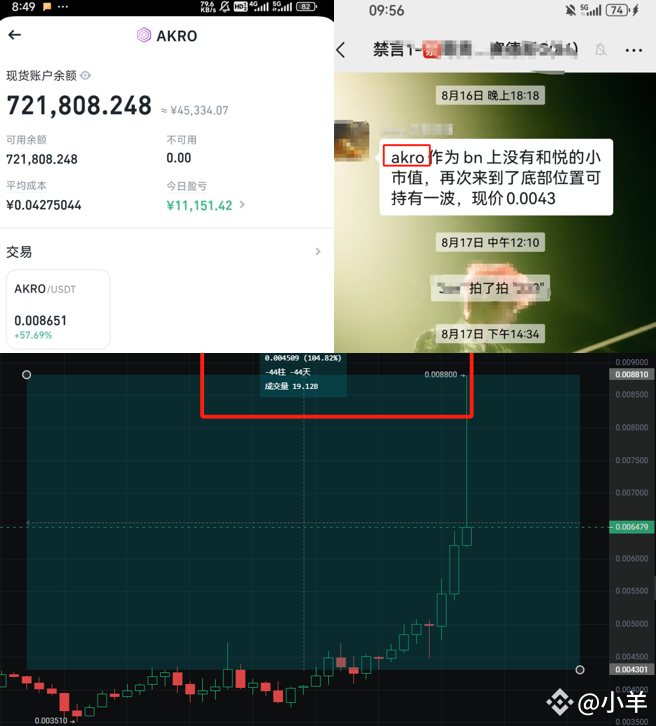 【Club Target Review: AKRO】 AKRO has strongly topped the inc | 小羊 on ...