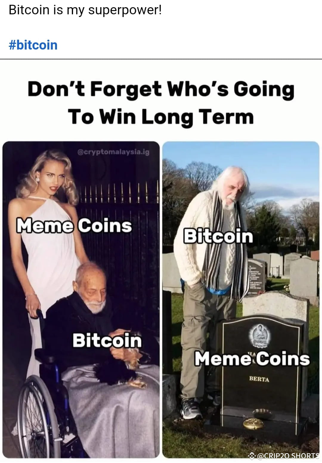 #MEME Don't Forget Who's Going To Win Long Term Bitcoin is | JITENDRA ...