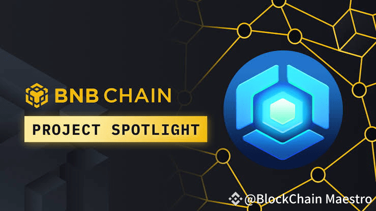 "BSC Project Spotlight" : A Professional Overview 1. Platfo | The ...