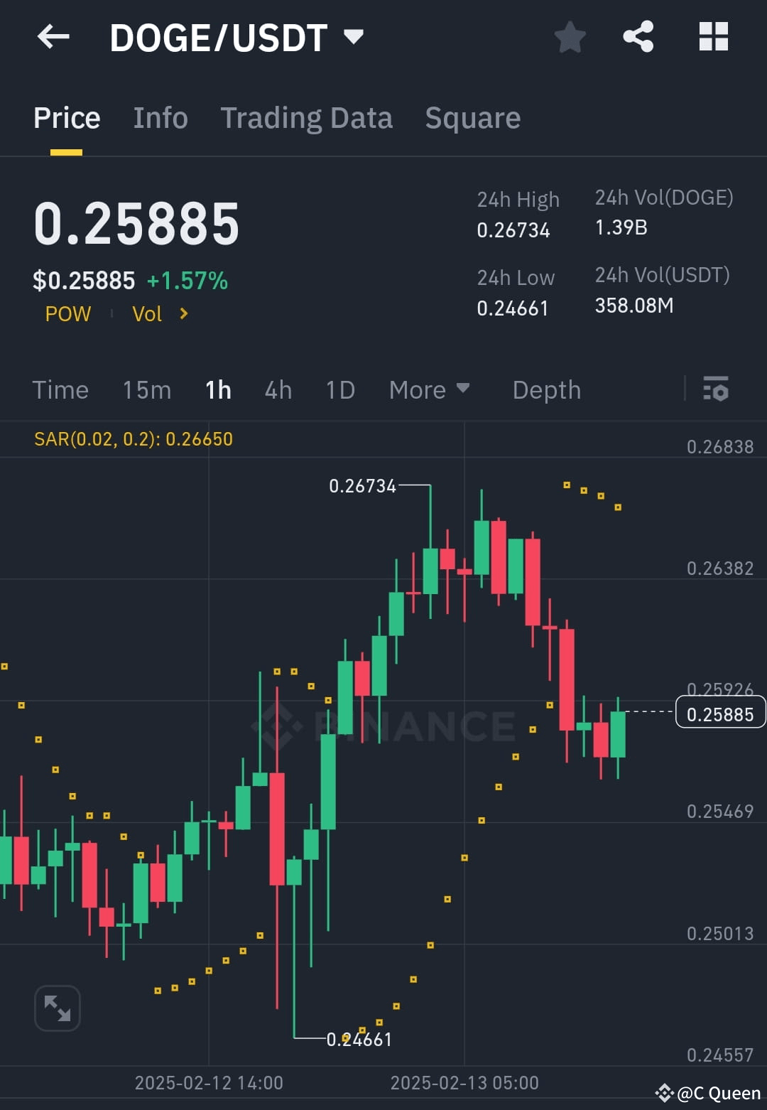 $DOGE /USDT – BULLS LOSING MOMENTUM? Current Price: $0.25 | C Queen on Binance Square