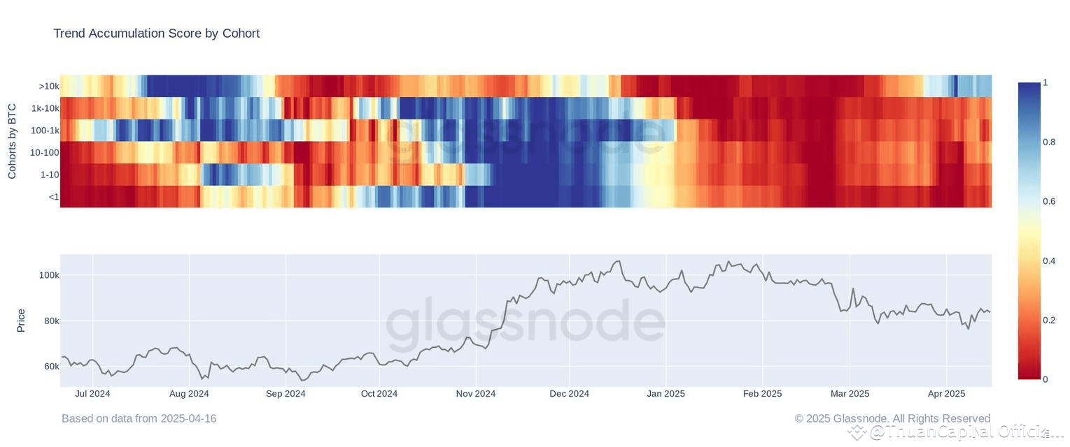 Bitcoin heat map updated! | ThuanCapital Official on Binance Square