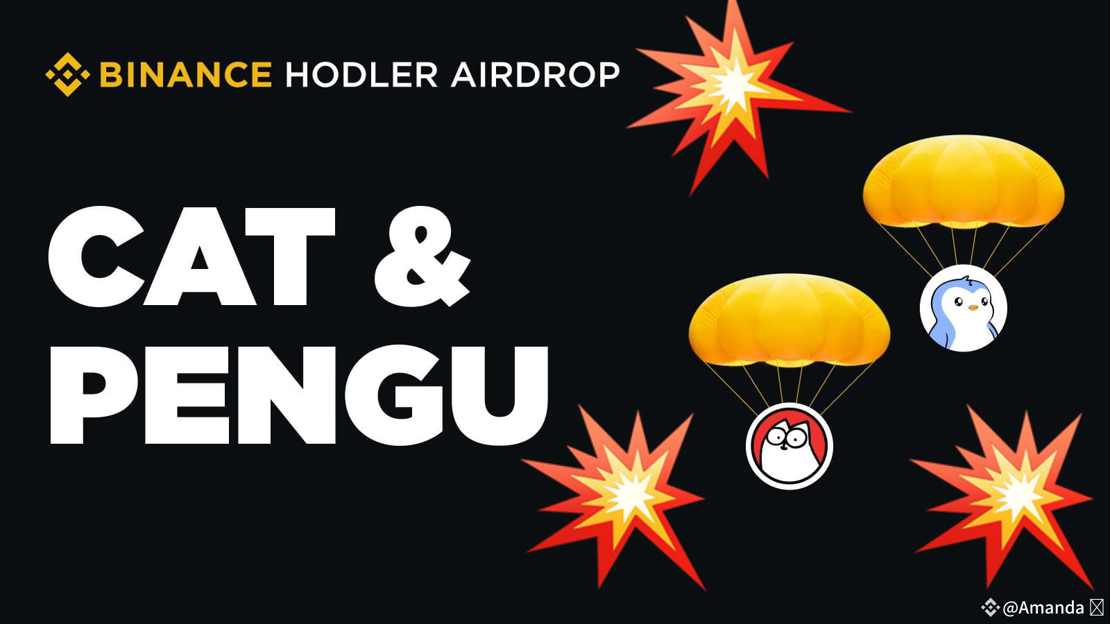 🪂 AIRDROP ALERT! 1000CAT & PENGU 🤳 Calling all $BNB HODLe | Amanda 🔶 on ...
