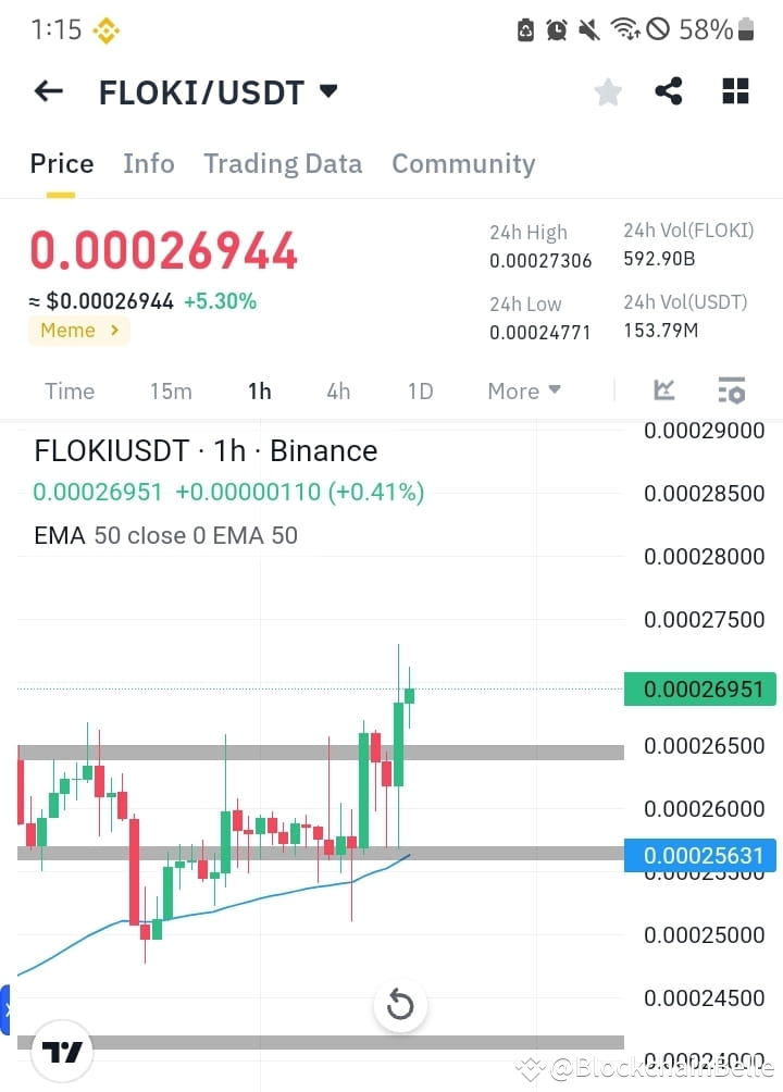 🚀 $FLOKI /USDT: BULLISH BREAKOUT - BUY NOW! 🚀💰💯 The $FL | BlockchainBelle on Binance Square