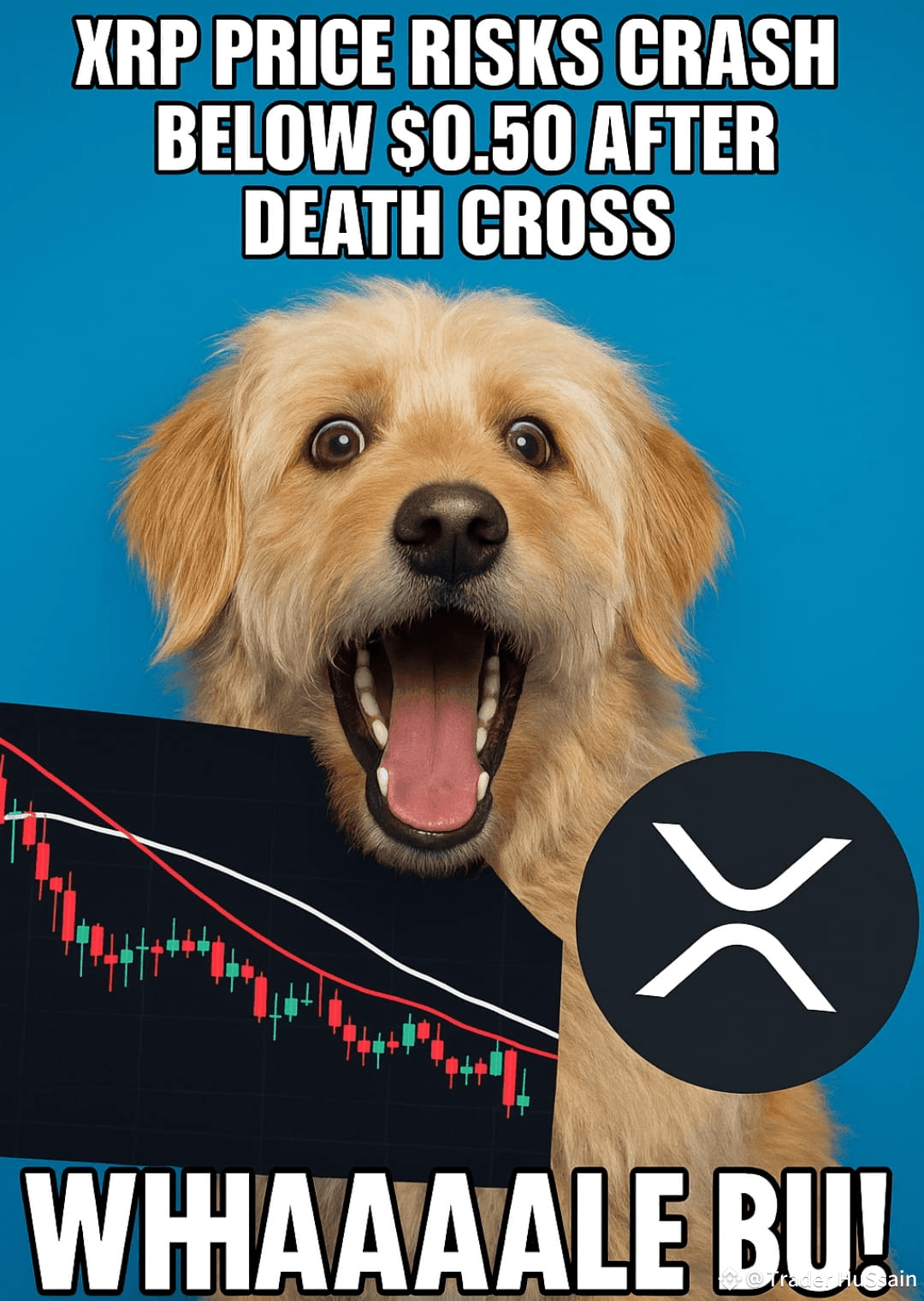 🚨 $XRP Price Forecast: Whales Buy 190M Tokens Despite “Dea | Trader ...