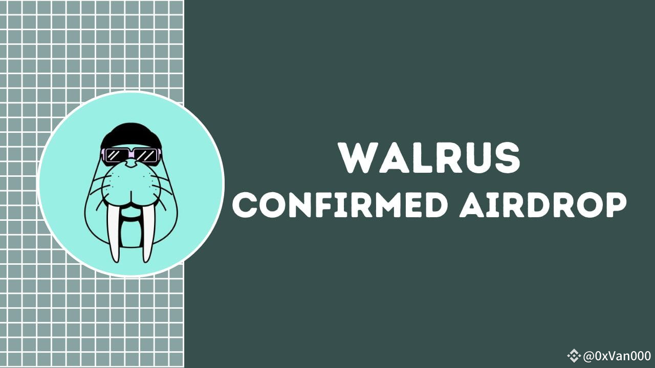 Guide to playing with Walrus: Walrus, the walrus that foreigners are ...