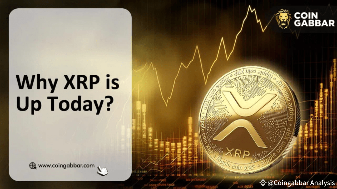Why $XRP Is Up Today: Brazil XRP ETF Approval Spark Bullish Rally ...