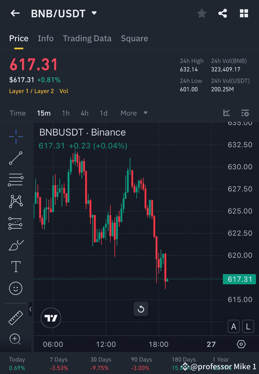 $BNB /USDT - All Short Targets Hit 🎯 Downtrend Confirmed On | professor Mike 1 on Binance Square