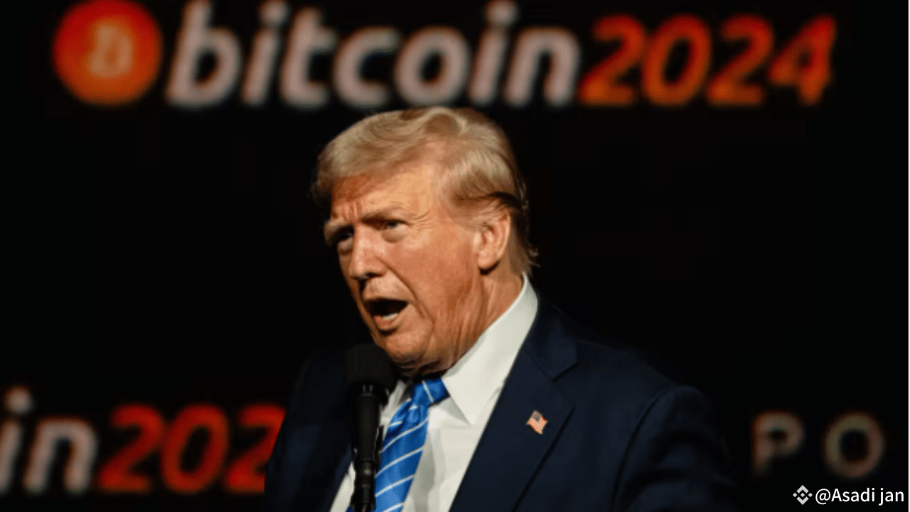 "Trump Meme Coin Frenzy: Skyrocketing Launch, Sudden Crash, and ...