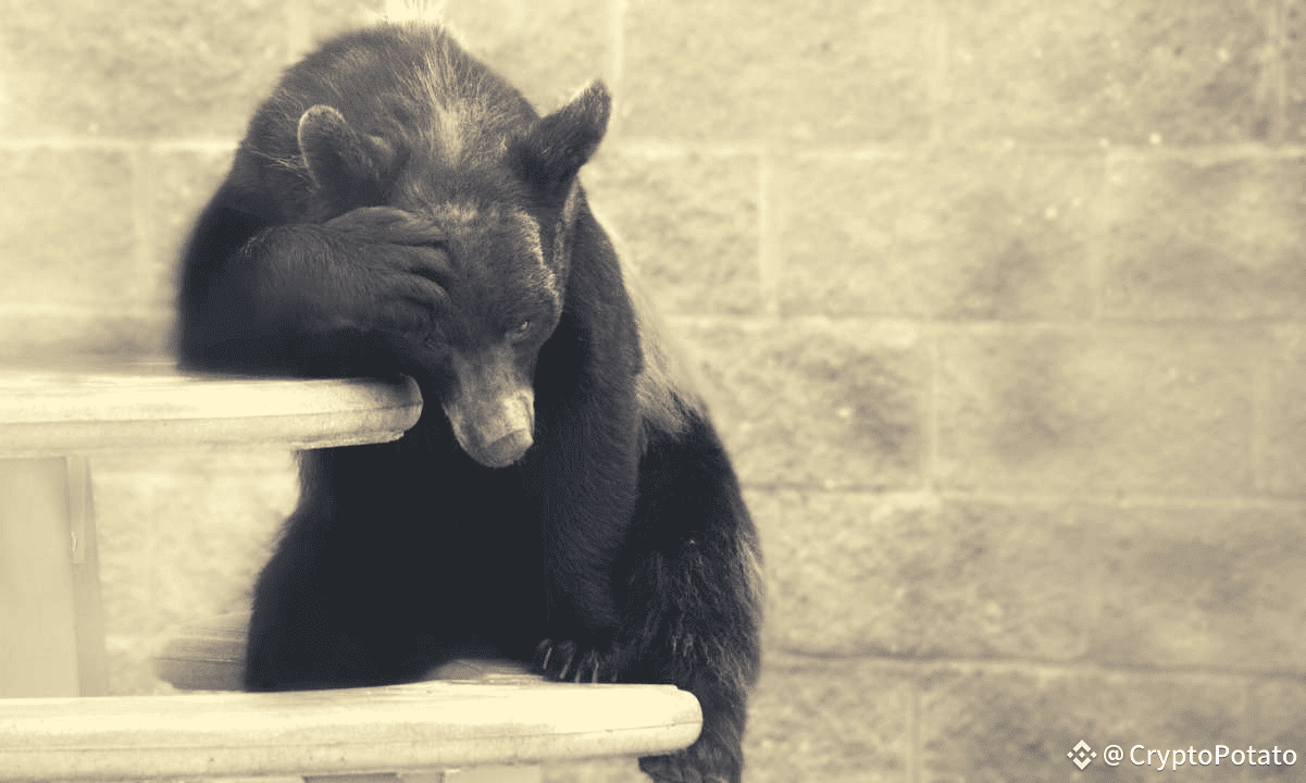 Bitcoin Surges Over $101K, Resulting in $500M Short Position ...
