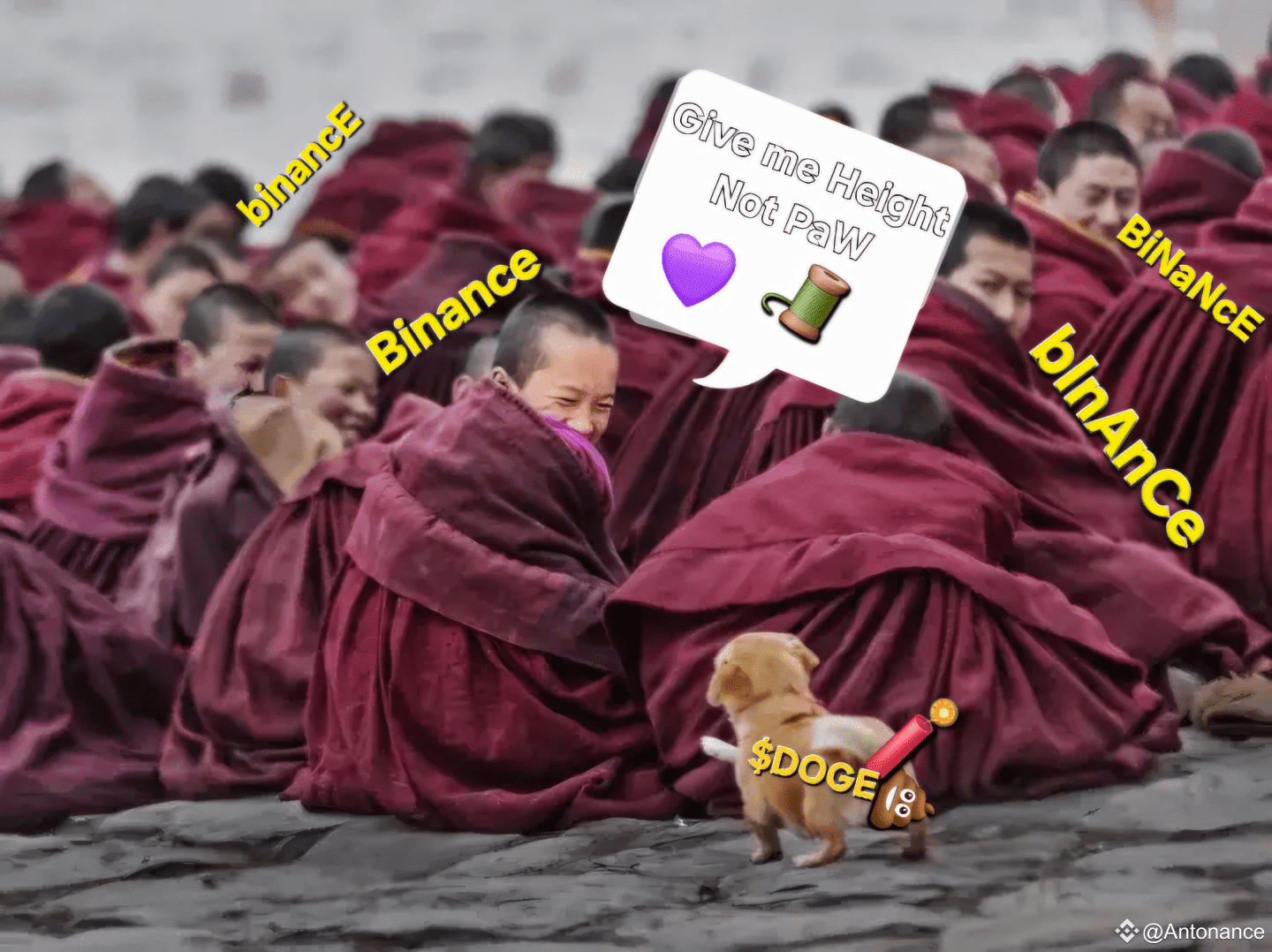 $DOGE You are a little dog. You stretched out your paw. You | Antonance ...